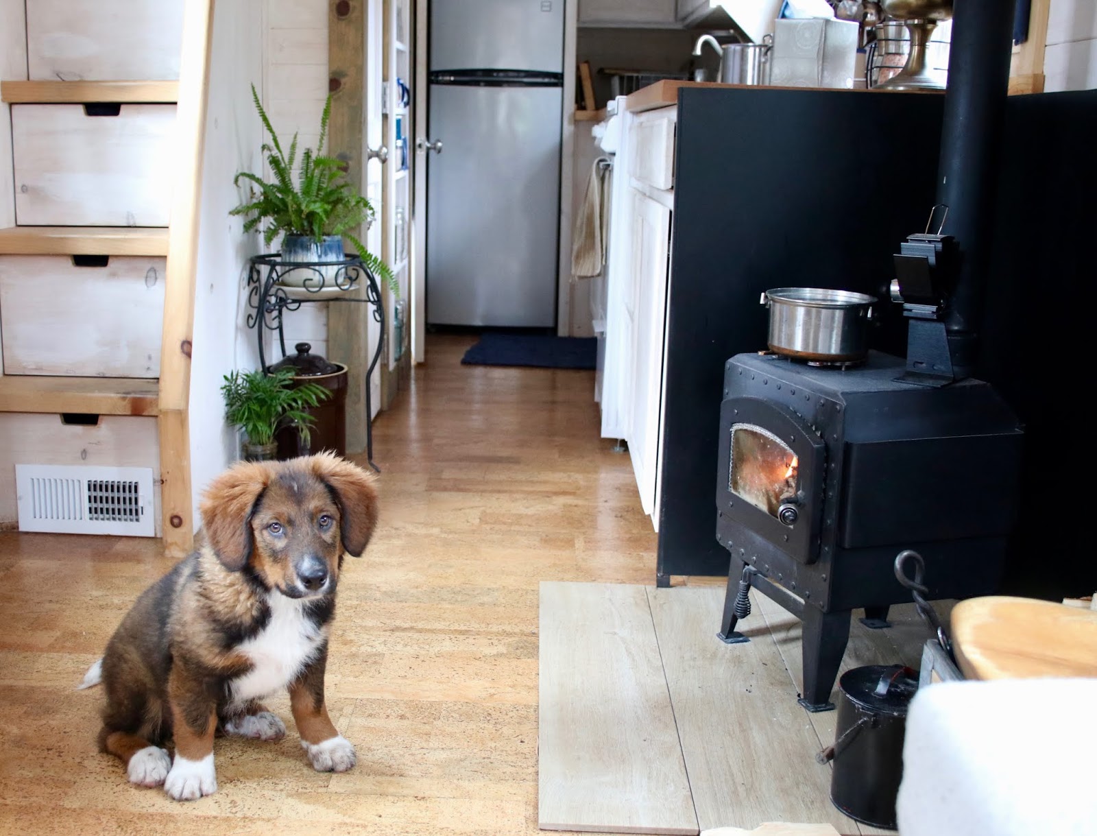 Fy Nyth...: House Photos