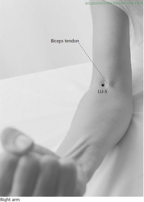 Jarum Sakti: Meridian Paru-paru & Usus Besar