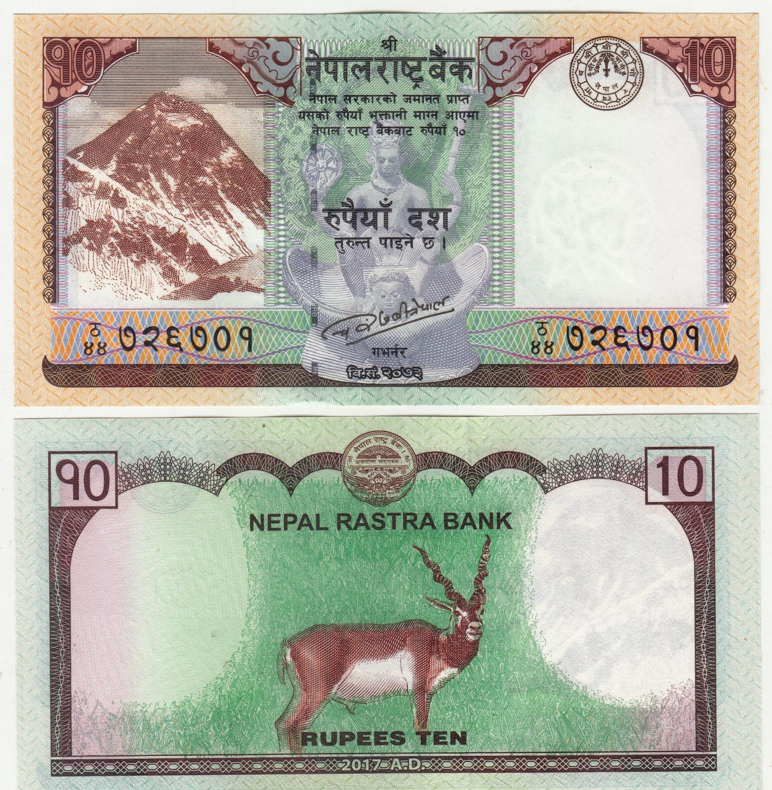 Coin and Currency Collection: 10 rupee note - Nepal