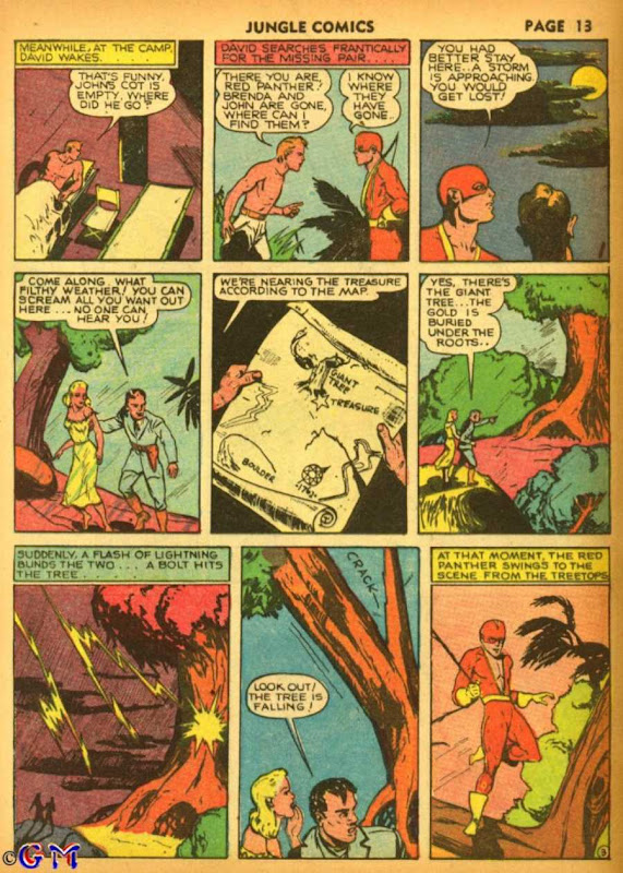 The Comic Book Catacombs: The Red Panther in "Fortunate Storm" (Fiction ...