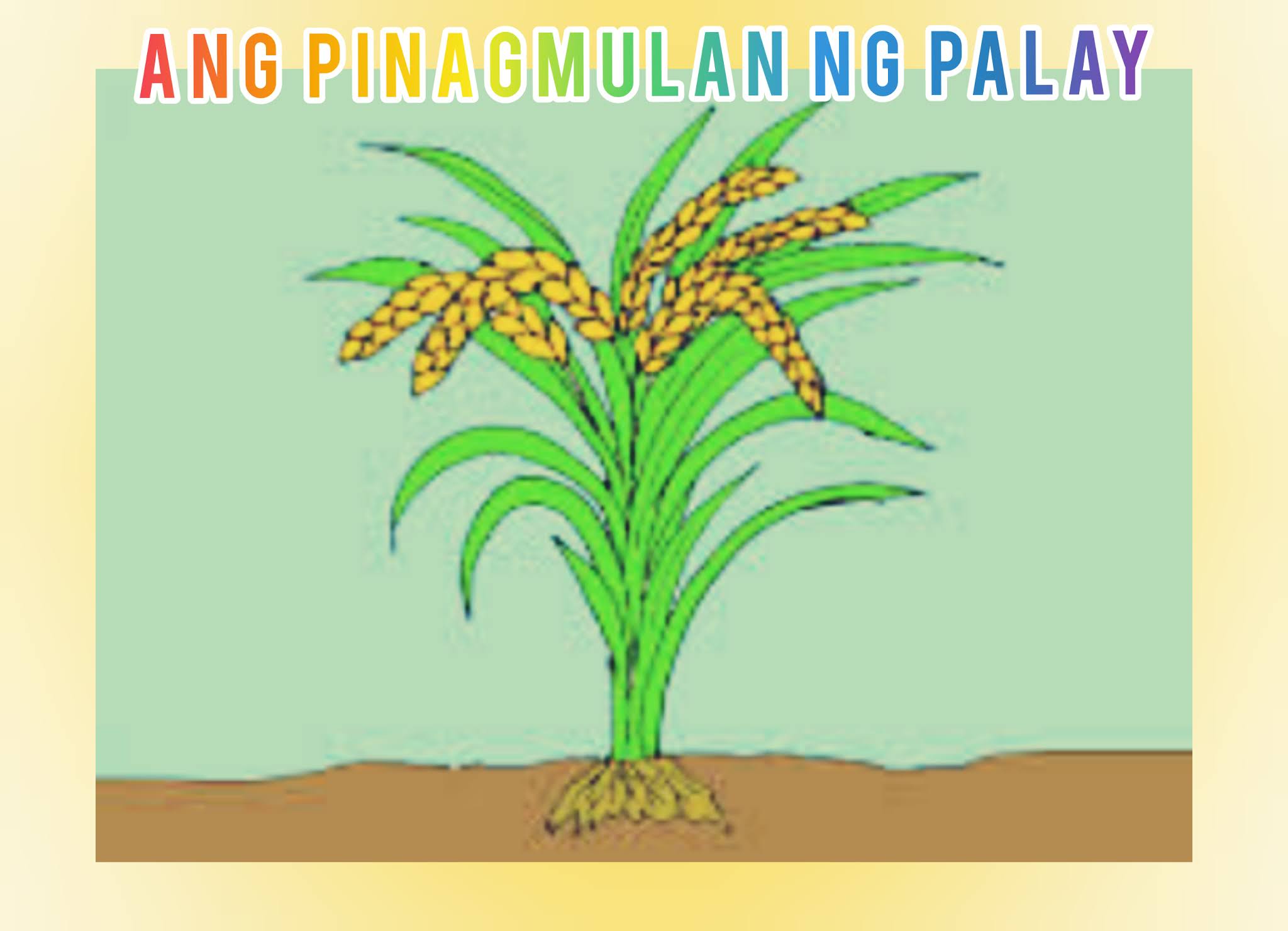 Alamat Ng Palay Ang Mga Tao Ay Walang Palay
