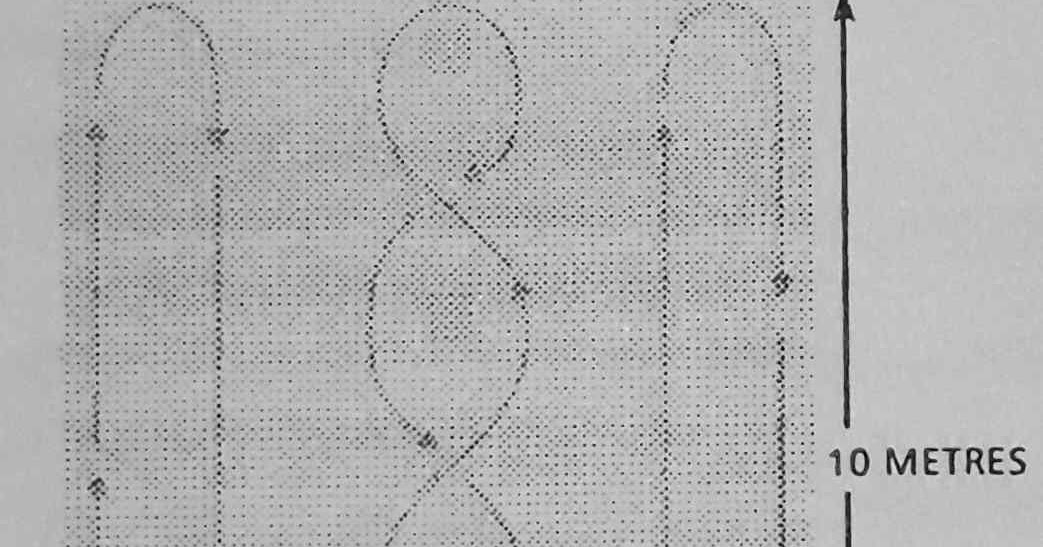 Illinois Agility Run Test to Measure Speed and Agility - Sport Resources