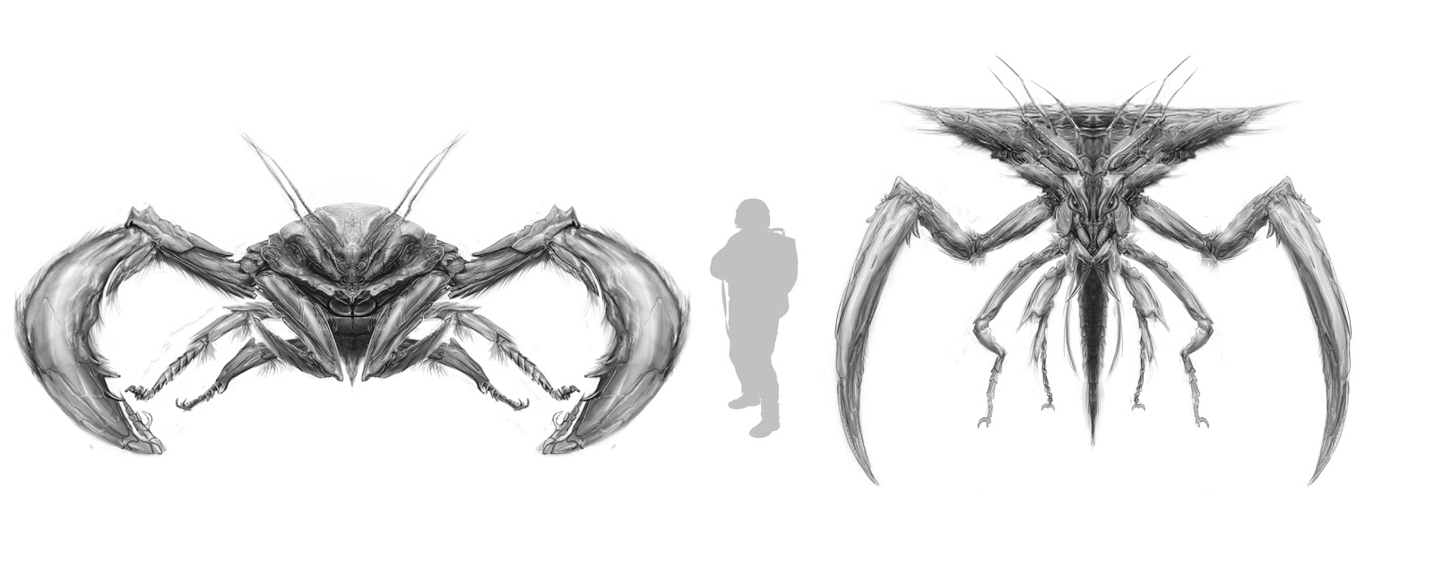 Alien bugs and crustaceans...