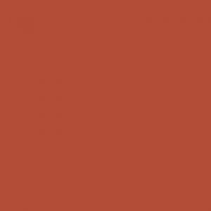 Reddish Orange Paint Color - Interior Design