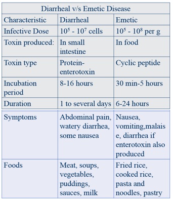 microbiology: Food infection by Bacillus cereus