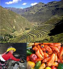 lasochoregionesnaturalesylaamazonia: REGION QUECHUA