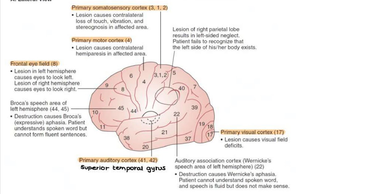 A TALE OF 3 PARAPARESIS CASES!!!!!