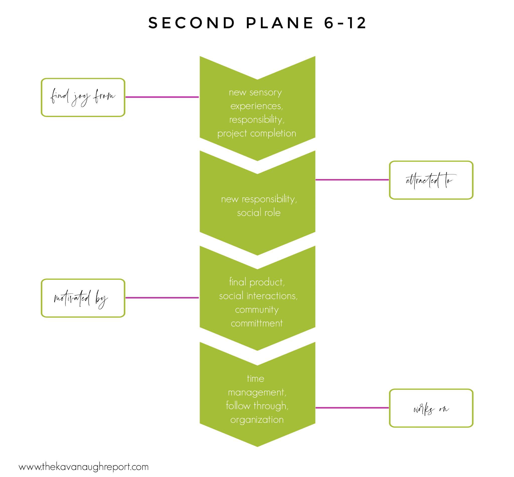 Role of Practical Life in the First Plane vs. Second Plane