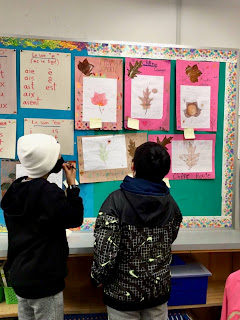split complementary