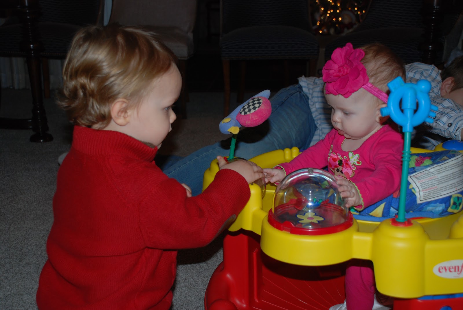 The Karaffa Family: van wingerden christmas