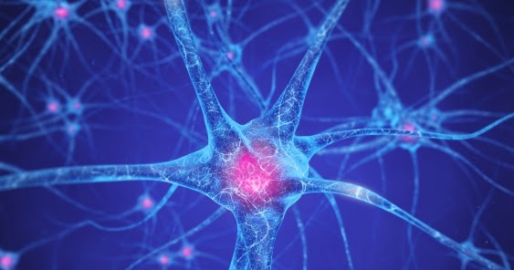 PULS+ : Fred Gage, en av världens mest framstående hjärnforskare.