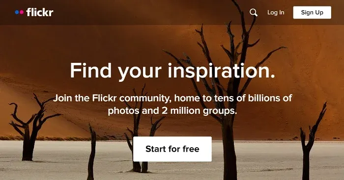 Top 15 Websites for Free Images for Your Blog