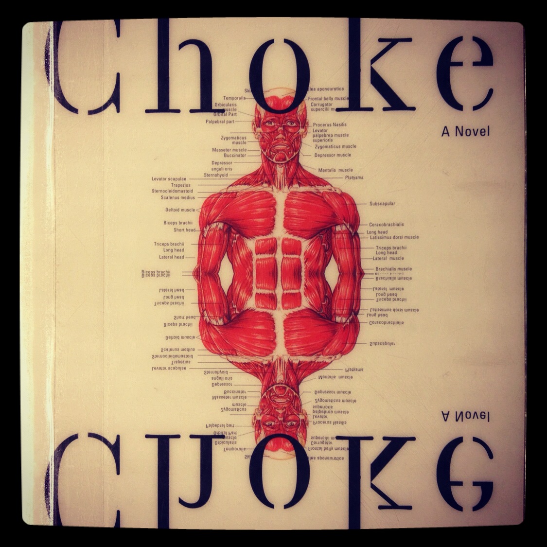 Pulled From The Bookshelf: Choke and Choke