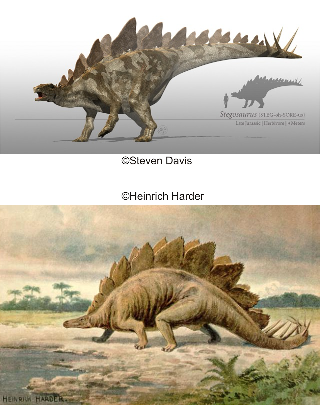 Extinct Animal of the Week: Comparisons of Then and Now