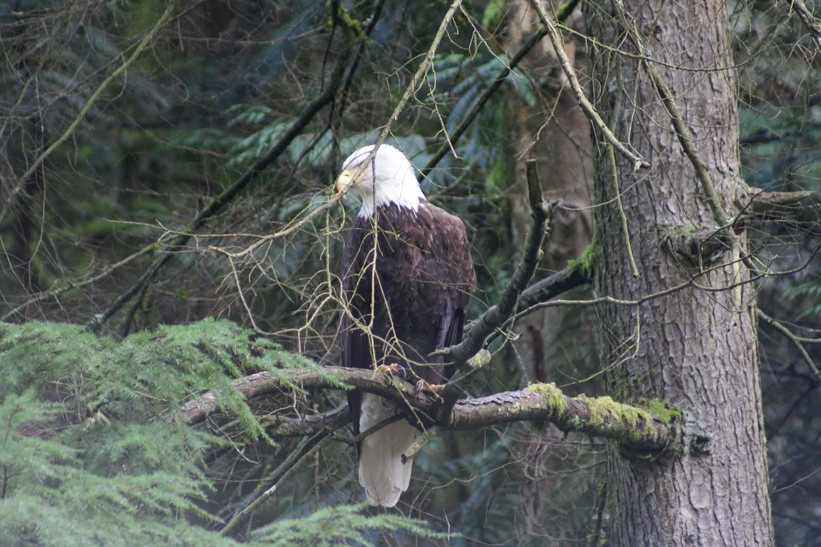 The Post Office Poems