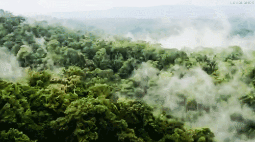 ENGLISH DAY: ACTIVIDADES DE PRACTICA