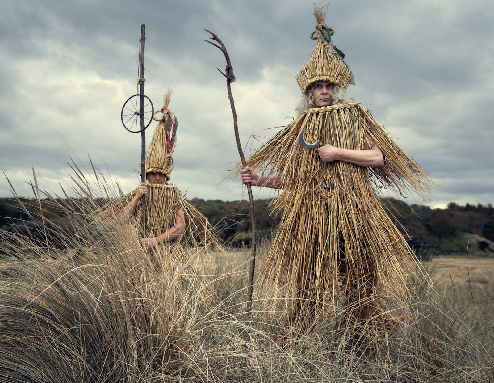 the art room plant: Laurence Winram IV