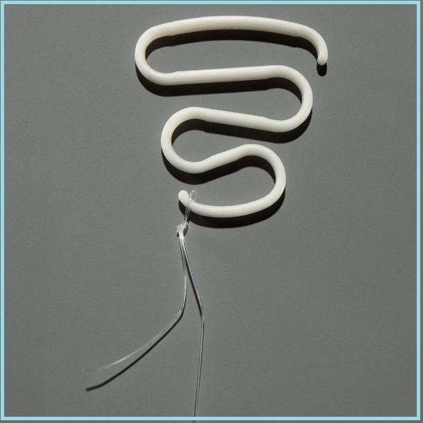 Rusty's Bio-zone: REPRODUCTIVE HEALTH