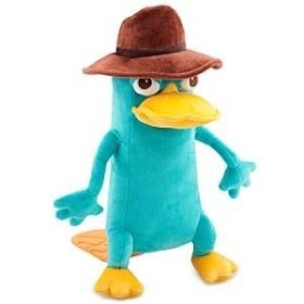 Perry el ornitorrinco bebé tierno - Imagui
