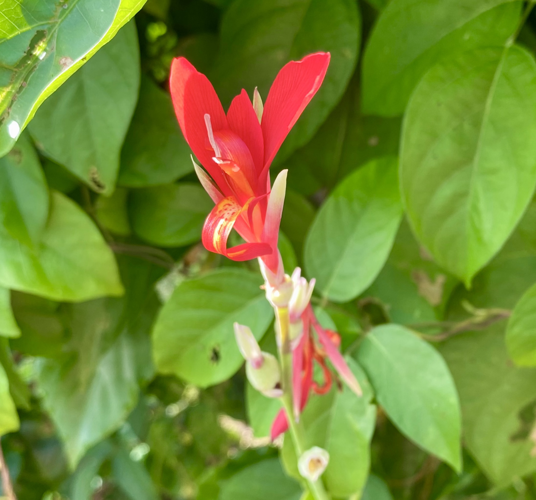 Things we did today...: Girls On The Loose And Bruce ~ Rainforest ...