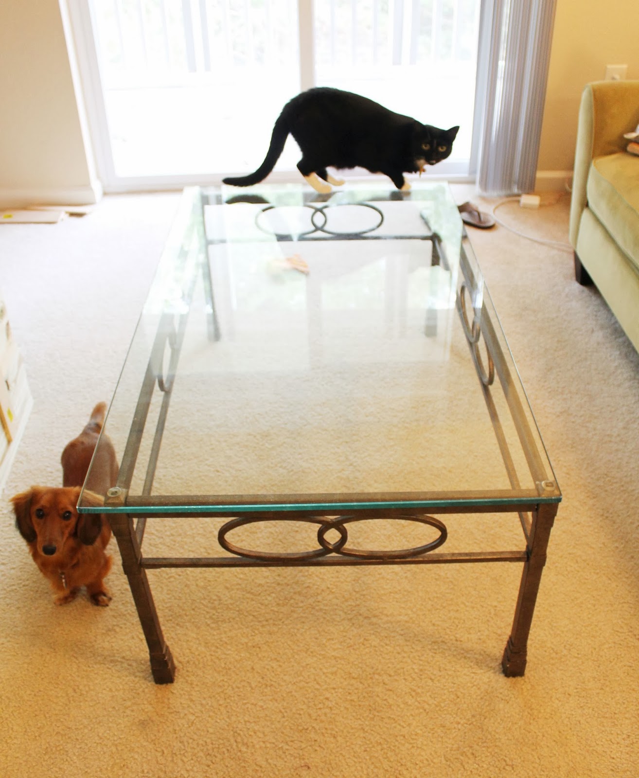 The Ink & Anchor: DIY Virginia Silhouette Wood Table