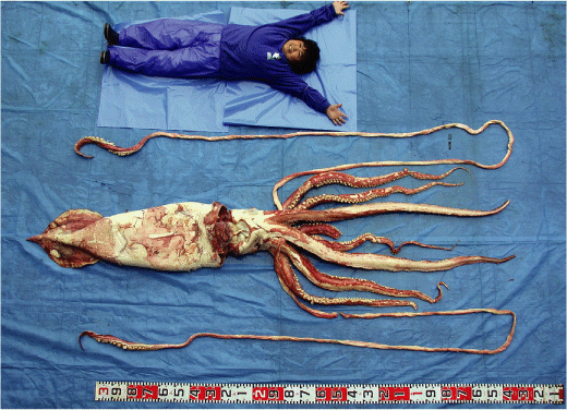 Las Criaturas Fantásticas de Leilani: junio 2015