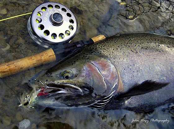 John Nagy's Steelhead Journal: Step-by-Step Tying Instructions for Blue ...