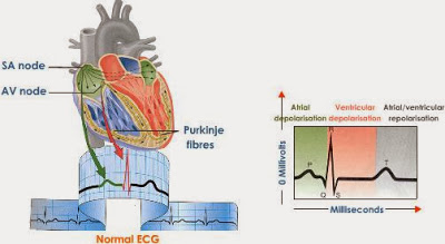 Blog Wijj: Desember 2018