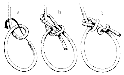 Membuat Simpul Tiang (Bowline Knot) | SAKA WANABAKTI MAMUJU