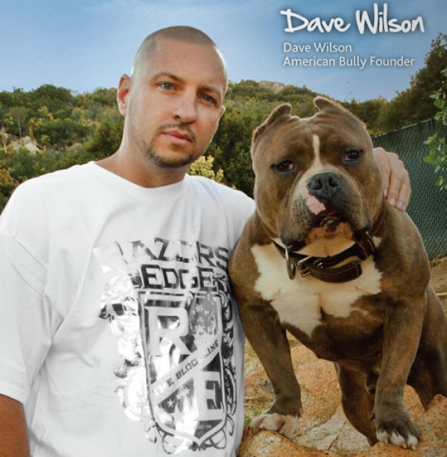 freePitbull: A.P.B.T. RAZORS EDGE BLOODLINE