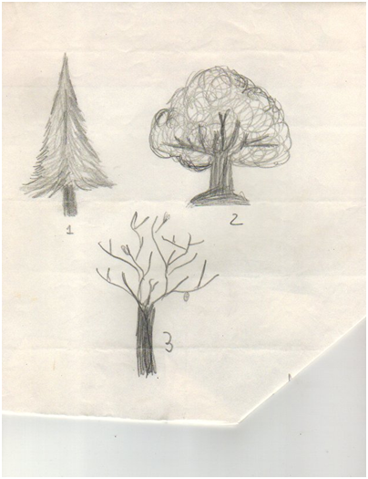 Sobre los componentes y significados del Test del Árbol III