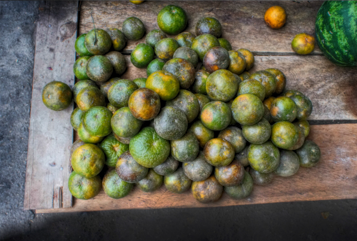 Marco Muñoz Jaramillo: Fruit of Ecuador 2016