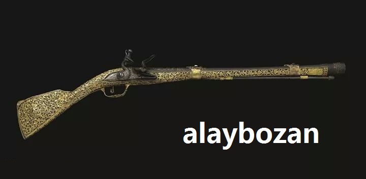 alaybozan - BilginCin