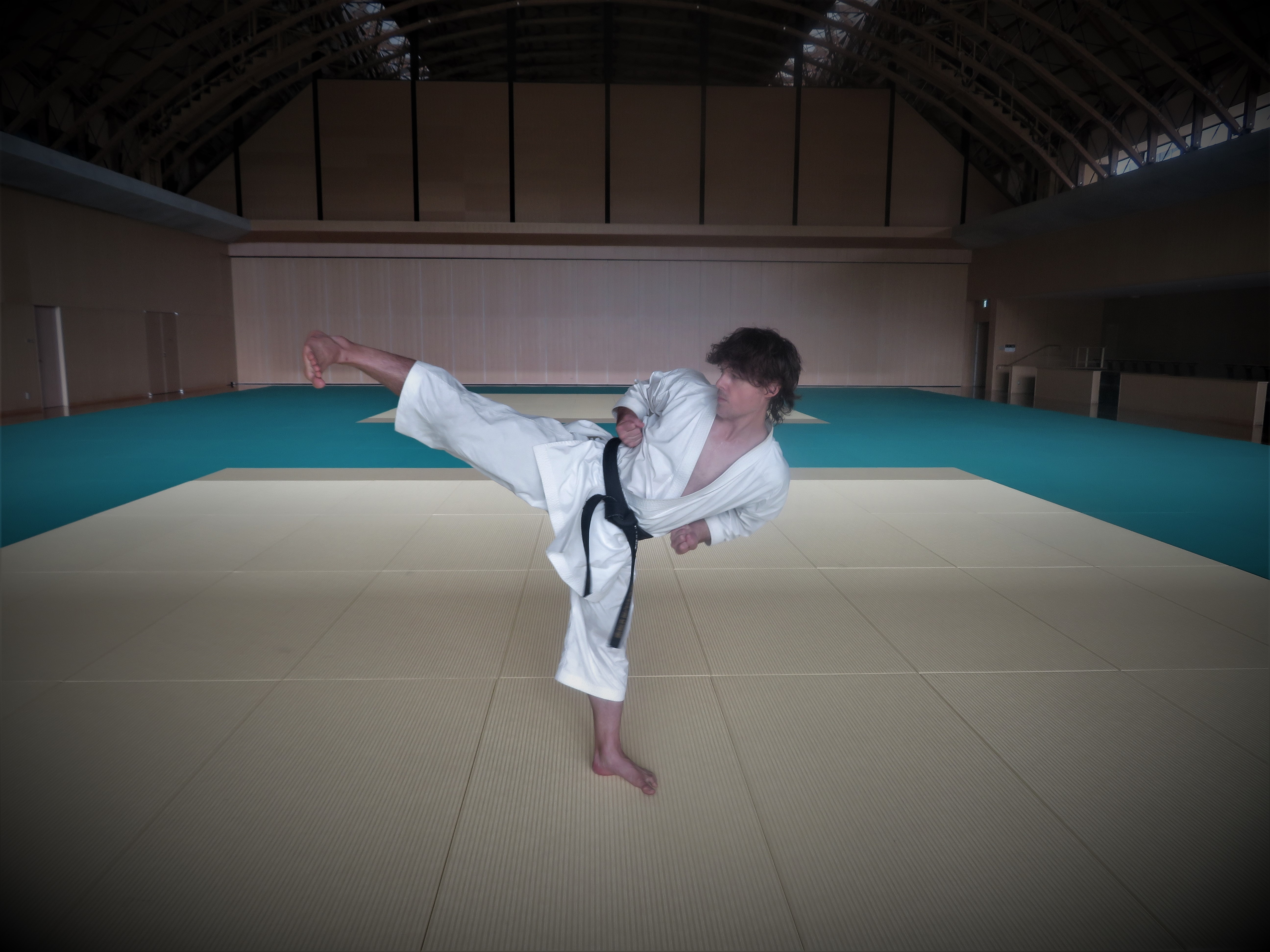 André Bertel's Karate-Do: 順路 (PART 2): Deeper Aspects of the Junro kata