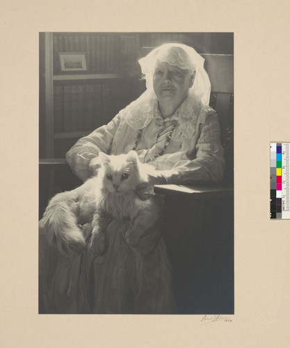 True Book Addict...Books, Cats, and More: Cat Thursday - Authors and ...