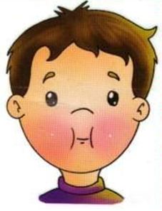 Escuela Normal - Sala de 4: Actividades Martes 2 de Junio