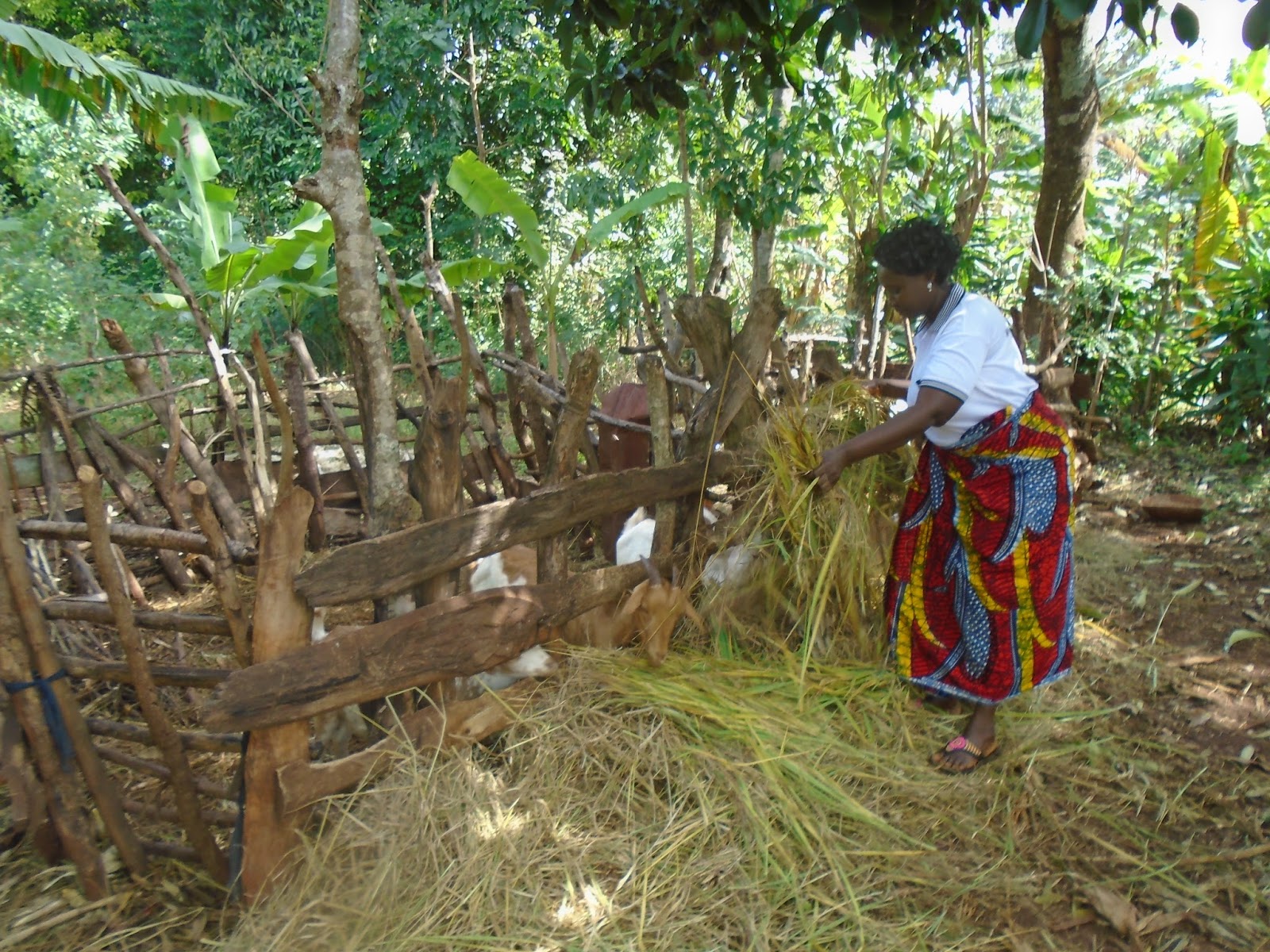 FASO TANZANIA: SUCCESS STORY: HOW VICOBA BENEFIT COMMUNITY MEMBERS