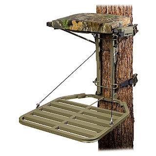Your Bows and Beyond: Tree Stand Experience