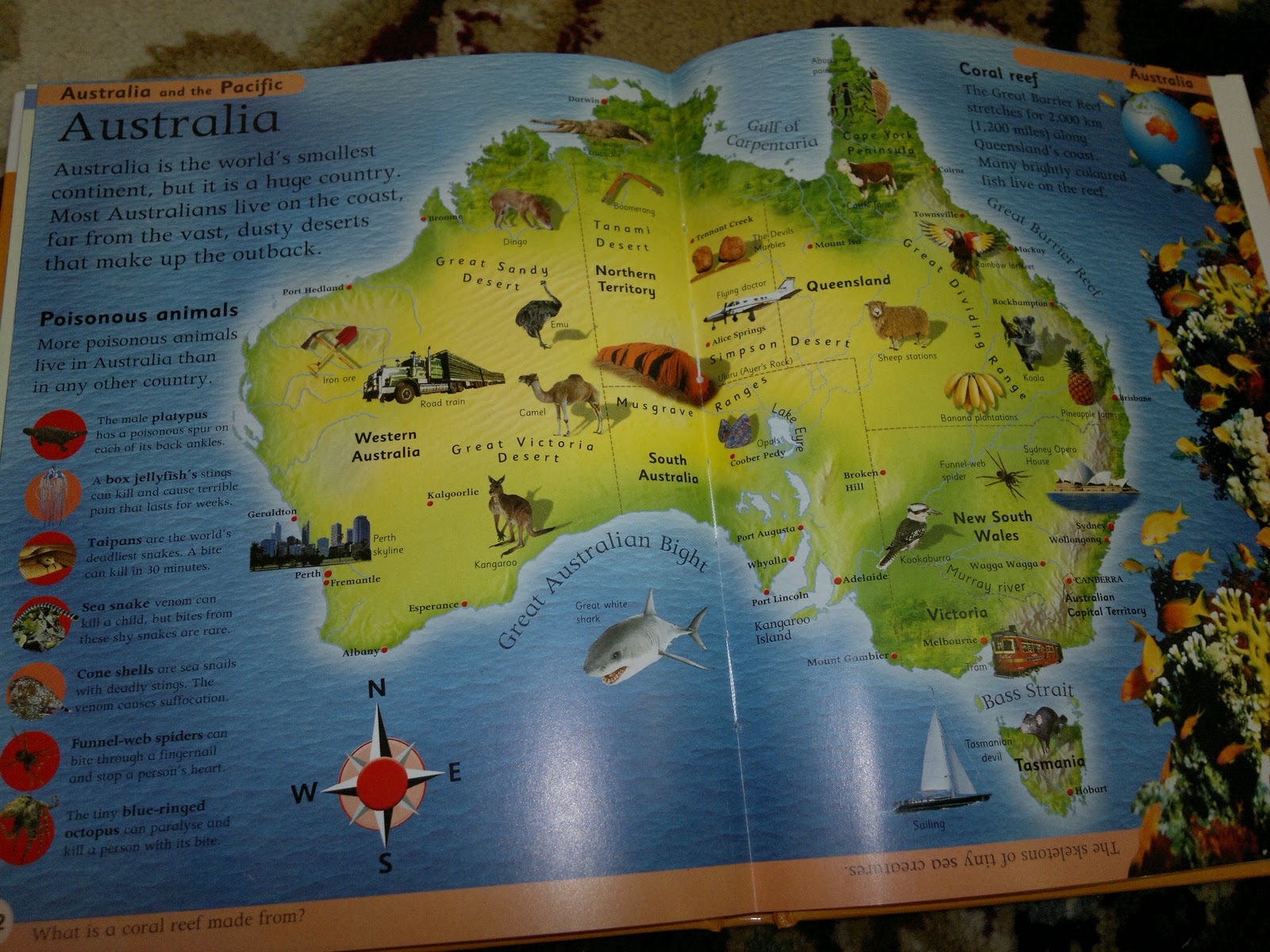 Umm Maimoonah's Journal: Continents - Australia