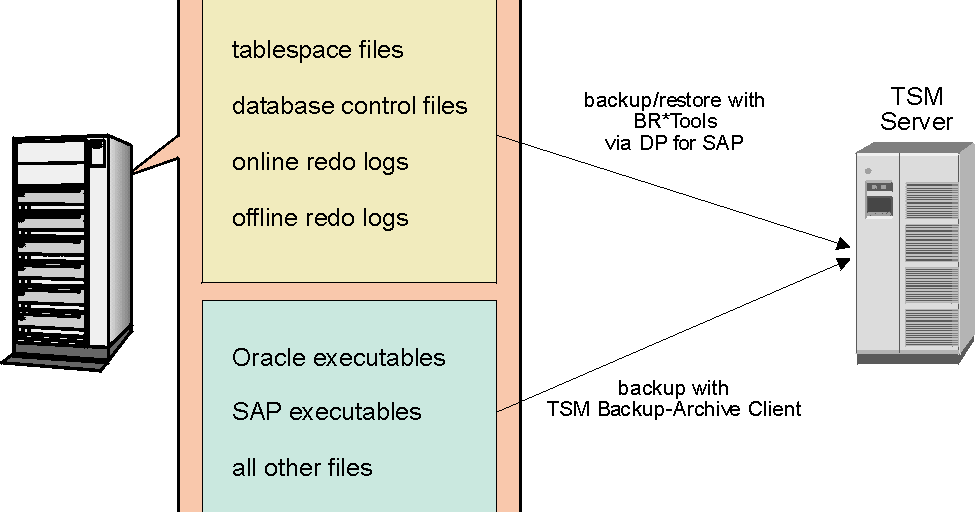 Understanding How Ibm Tdp For Sap For Oracle Works With Sap Db To Take Online Backups Storage