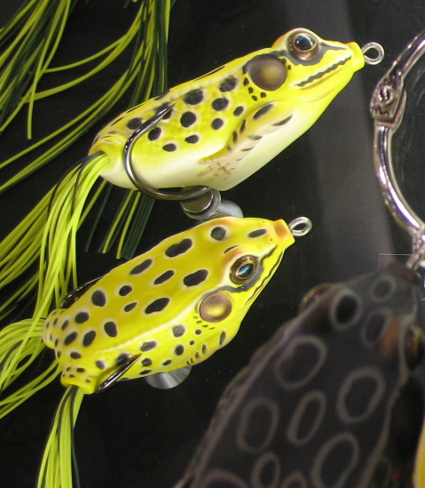 IBASSIN: Froggin' Fever