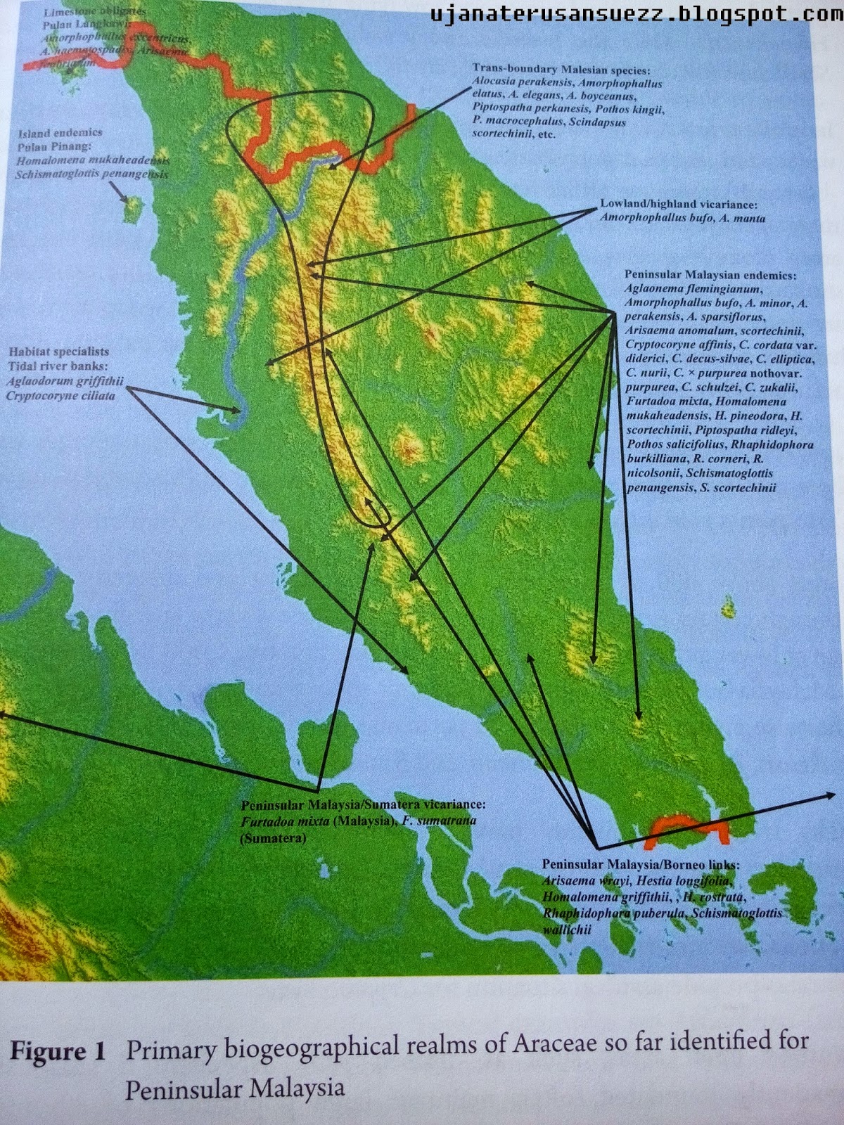 Kisaran sumatera utara indonesia - posaimage