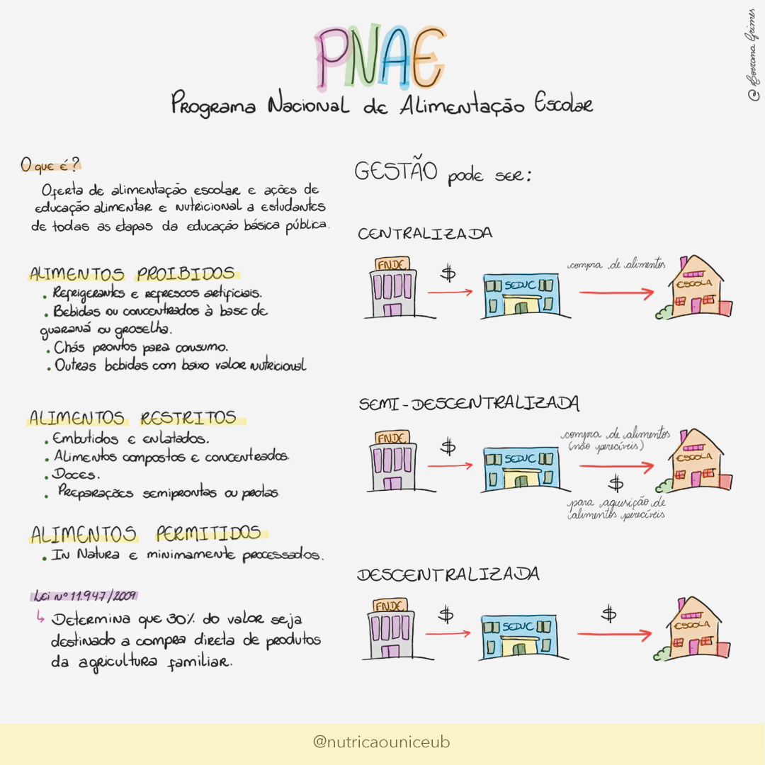 O Que Significa Pnae - LIBRAIN