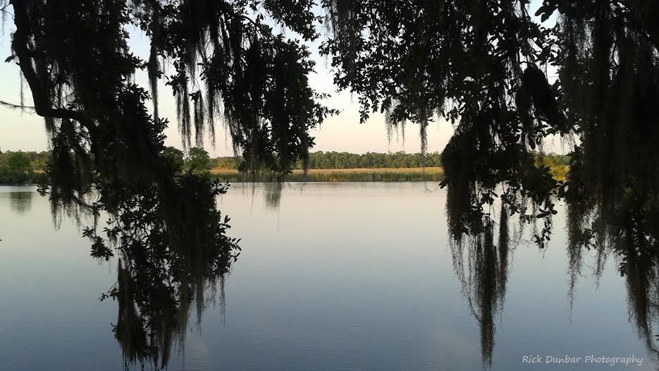 Vacation Rick: The Extraordinary Ashley River Corridor--22 miles of ...
