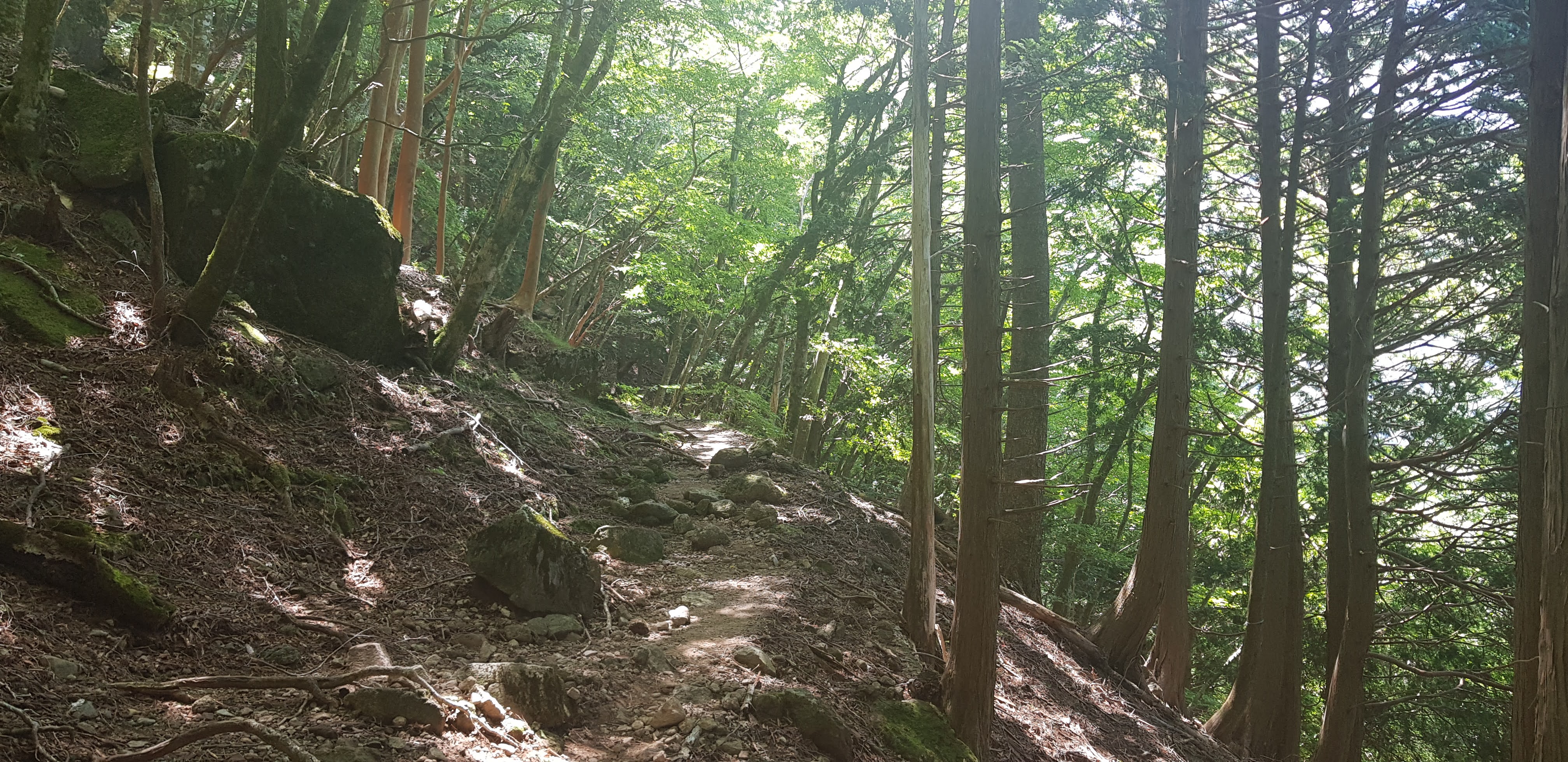(天城山) Mt. Amagi Hike