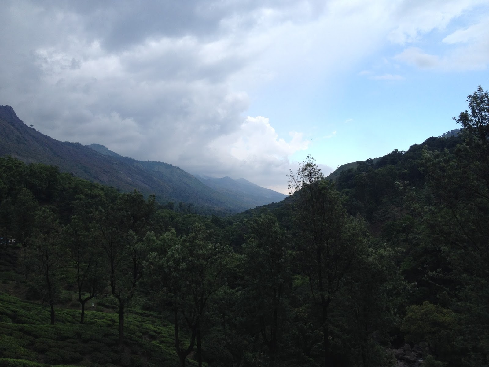 KANTHALLOOR THE LAND OF FRUITS | TOURIST ATTRACTIONS IN KANTHALLOR ...