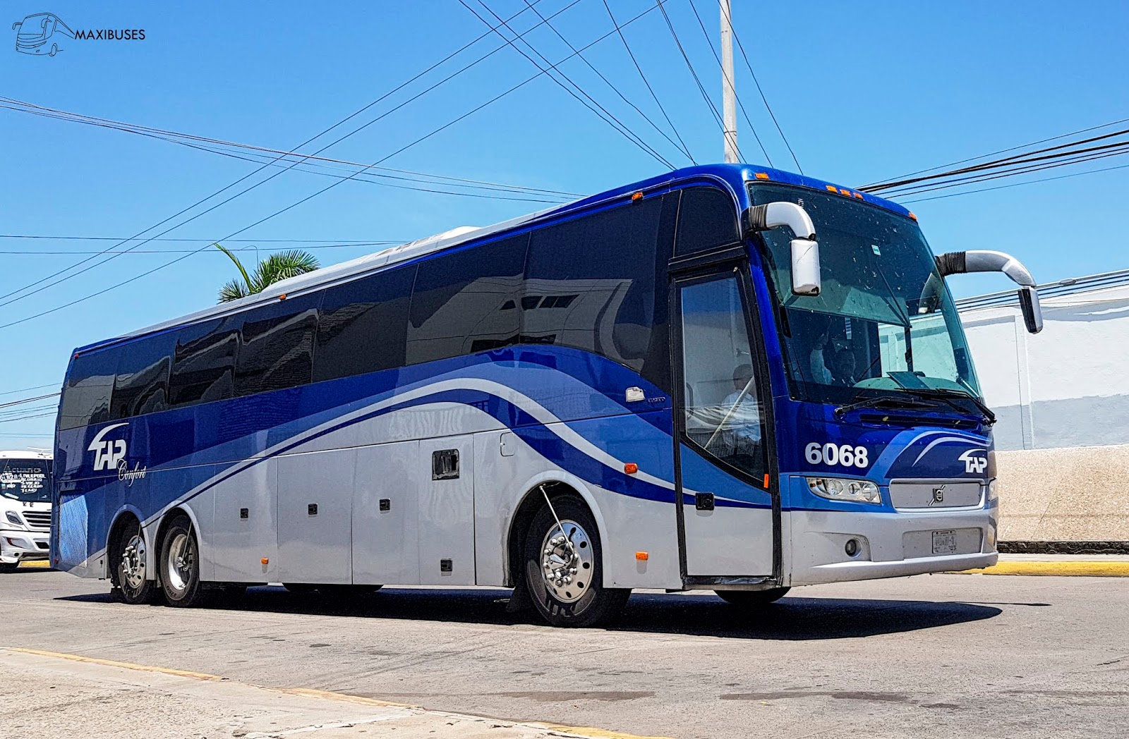MAXIBUSES: TRANSPORTES Y AUTOBUSES DEL PACÍFICO, CONFORT (TAP CONFORT)