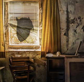 Chestnut Avenue 102 | Juegos de Escape. Escape Games. Escape Room Online