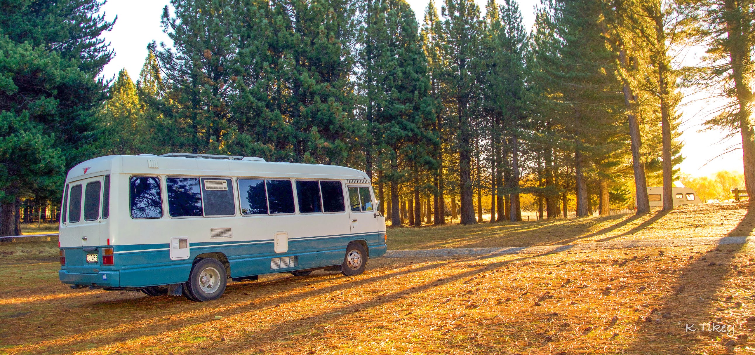 Leave Only Paw Prints: Saying Good-Bye ... Haere Rá