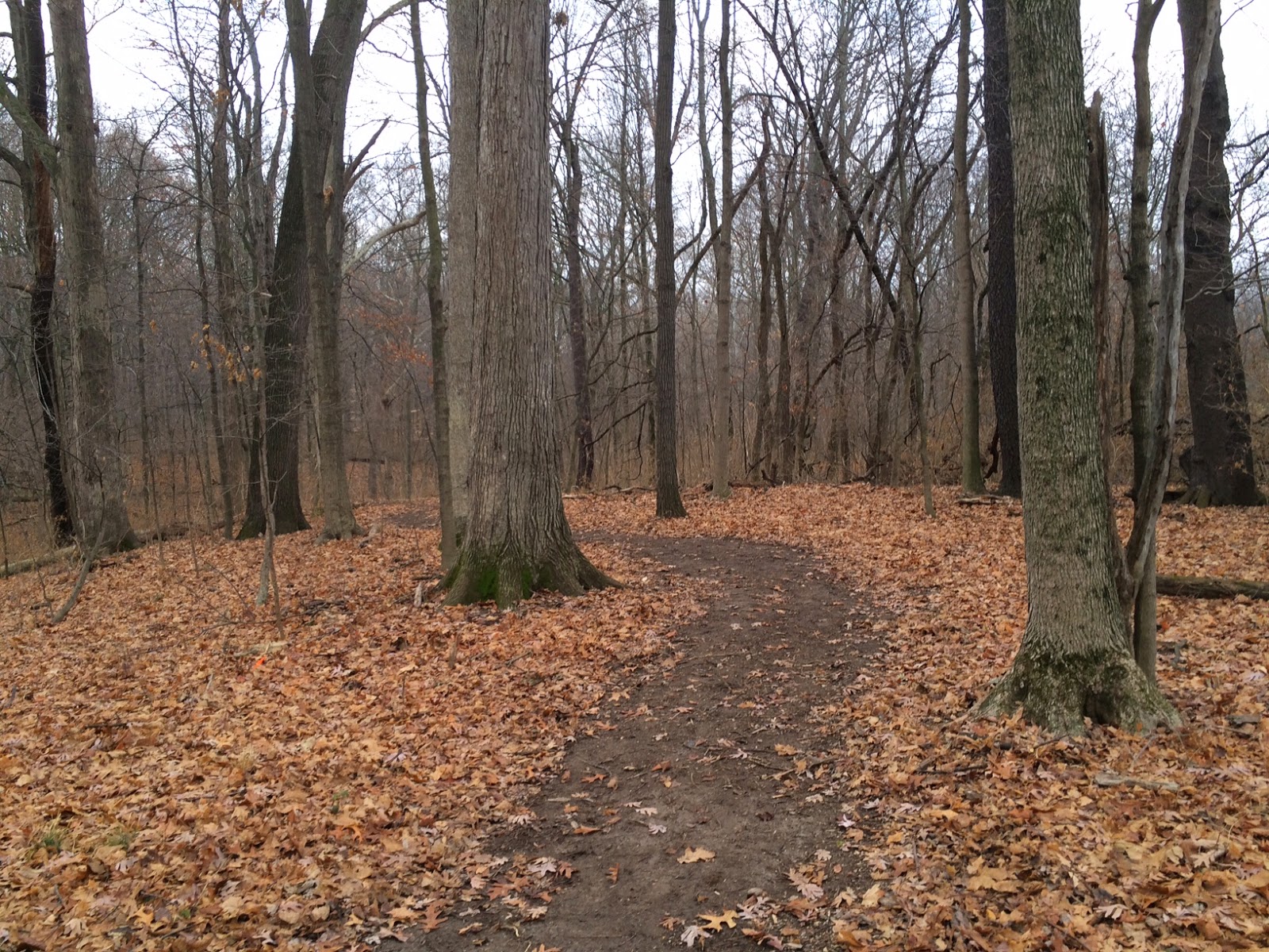 Ohio Meanderings: Sweet Arrow Reserve
